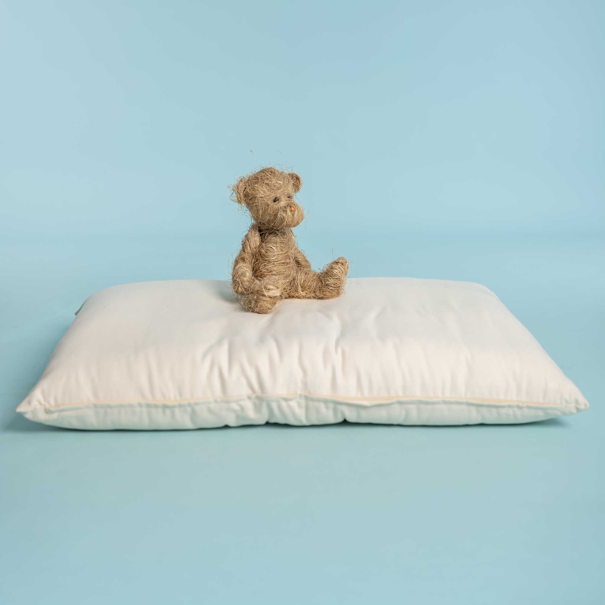 100% Organic Cotton Dog Cat Pet Bed (Made in USA) – Rawganique