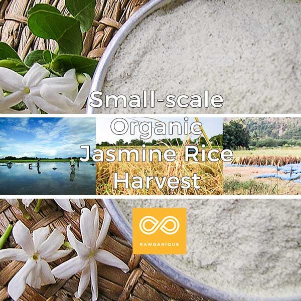 100% Organic Jasmine Rice Face Neck Skin Scrub – Rawganique