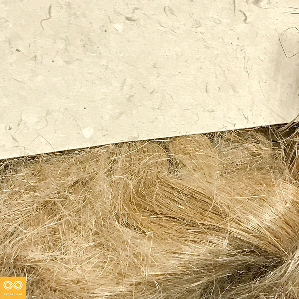 100% Organic Flax Linen Sliver Roving Top by Rawganique since 1997.